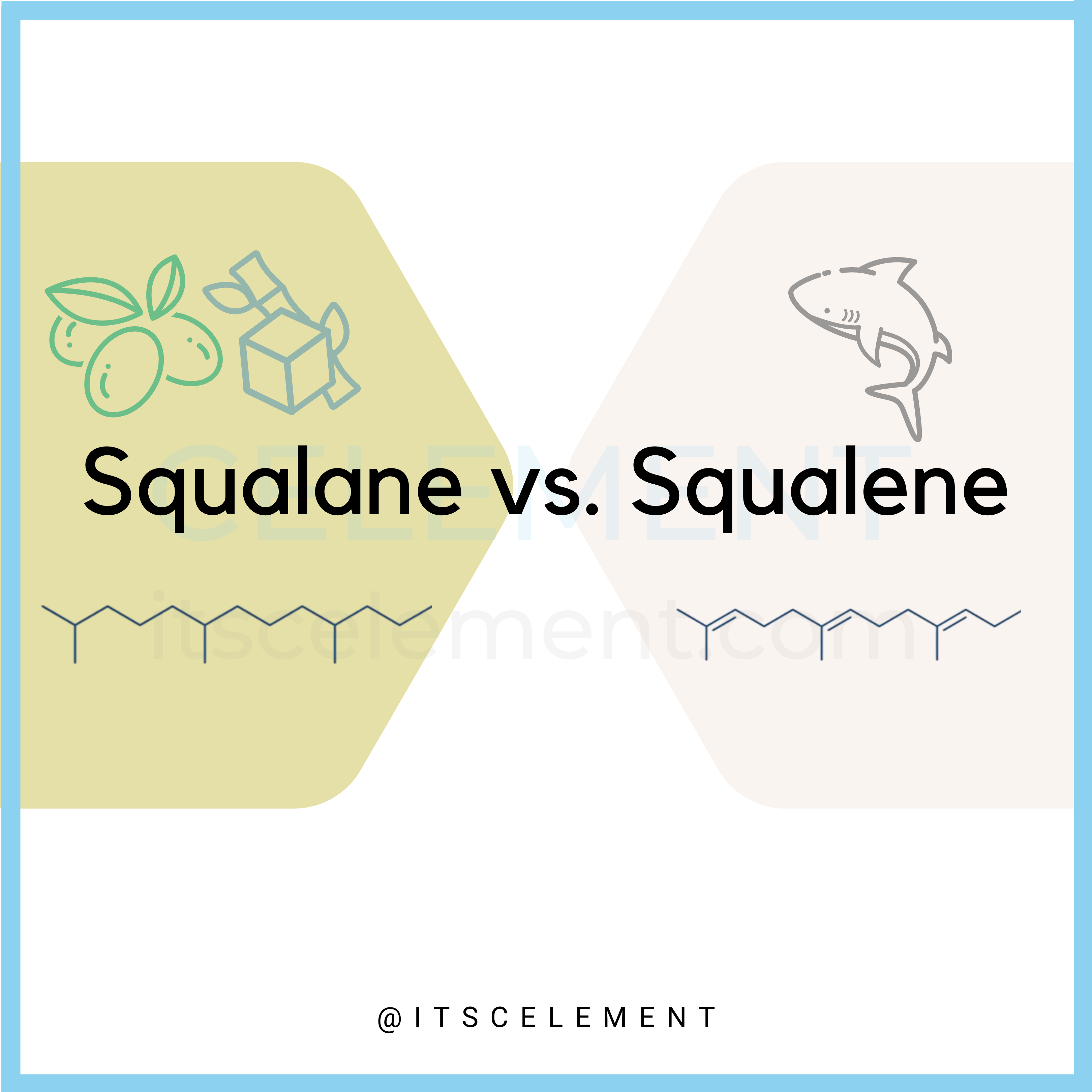 Squalane vs. Squalene – CELEMENT